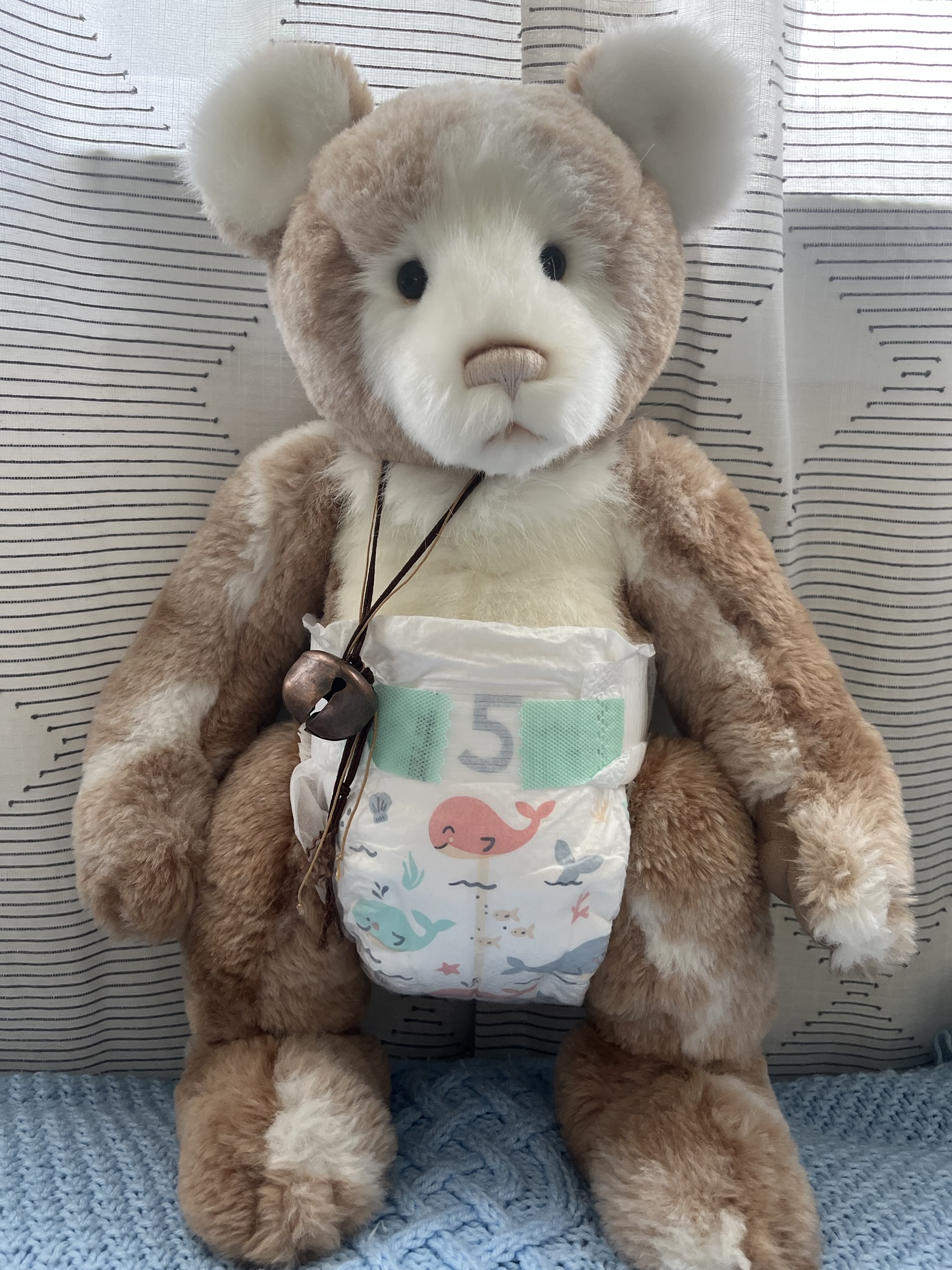 Reference photos: Ginger the Bear as a baby – Blankit Fort